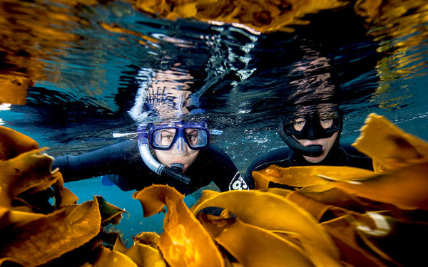 Young Ocean Explorers - The Biota Group