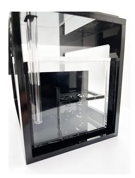 Biota Custom Micro Reef-Ready Tank 40oz Desktop Aquarium - The Biota Group